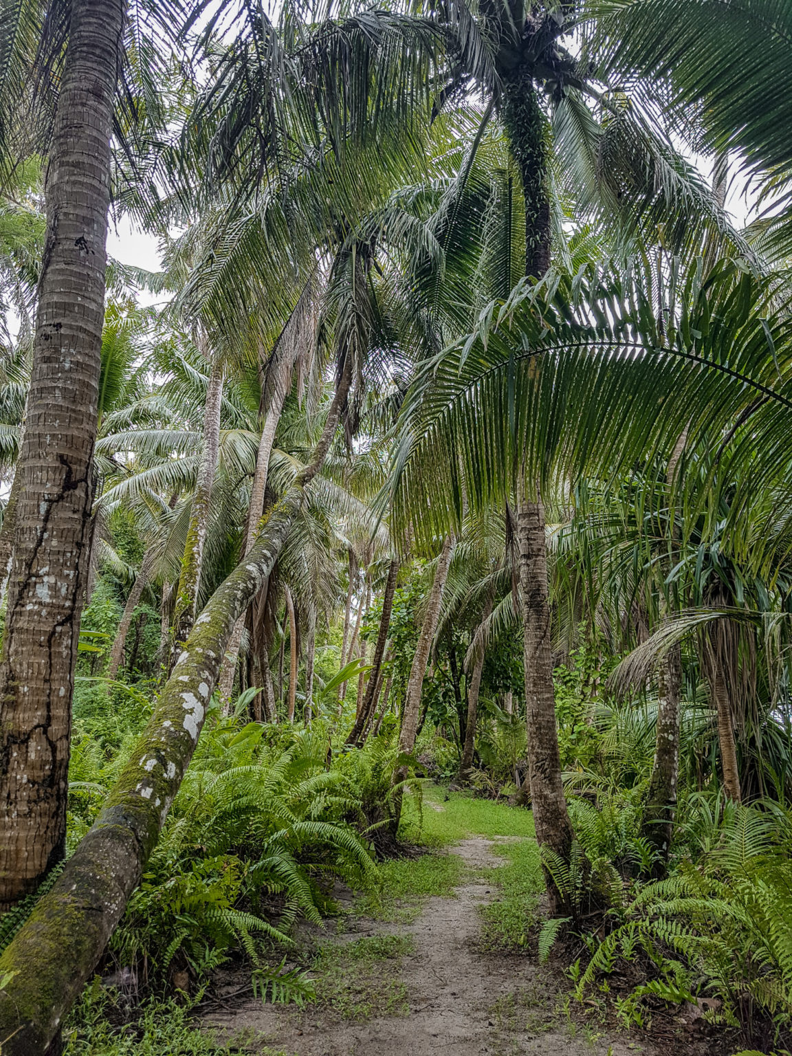 Visiting Guam - Tropical Paradise in the Pacific | One Flight Away