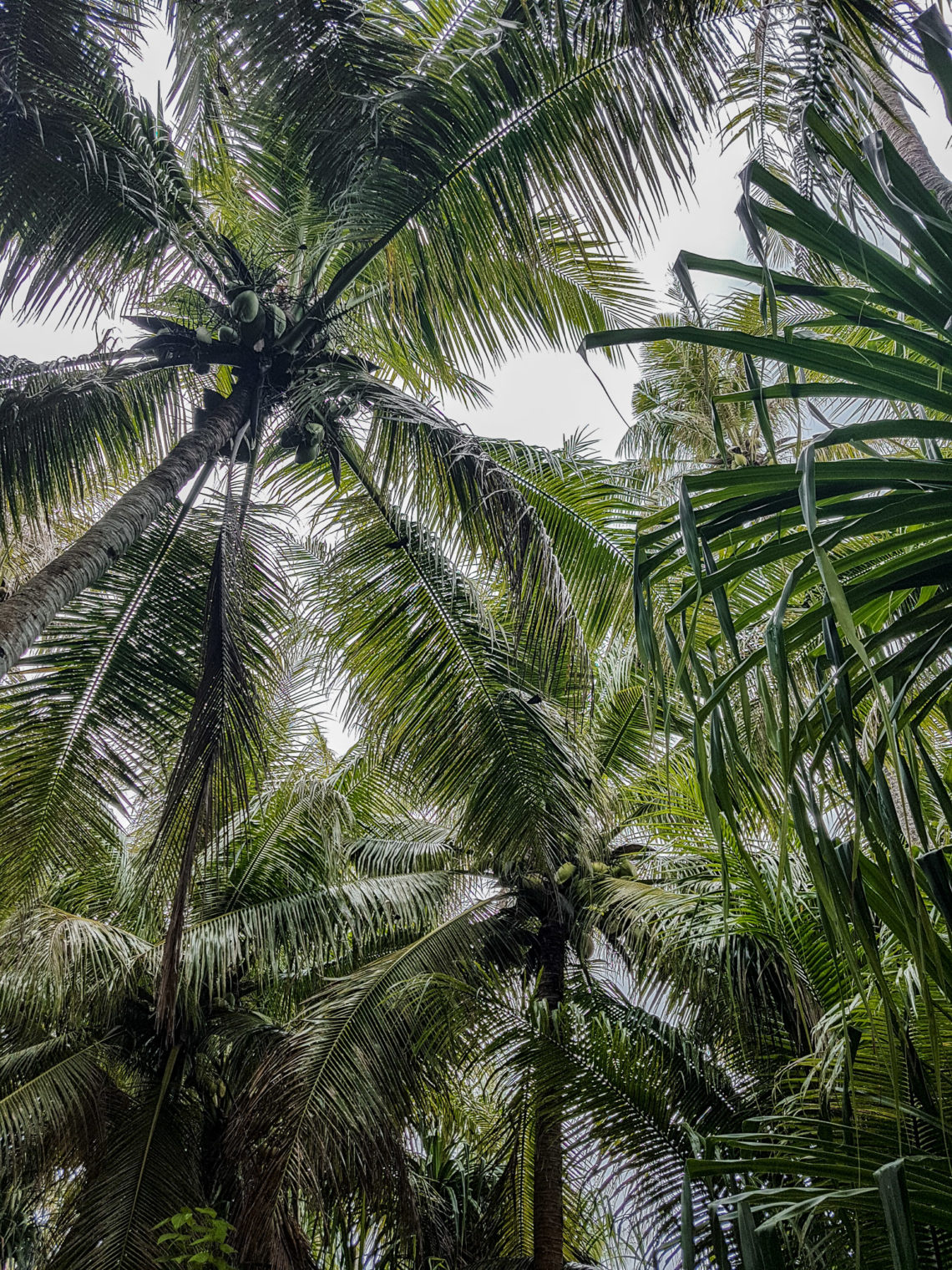 Highlights of Guam - Guam in 30 Stunning Photos | One Flight Away