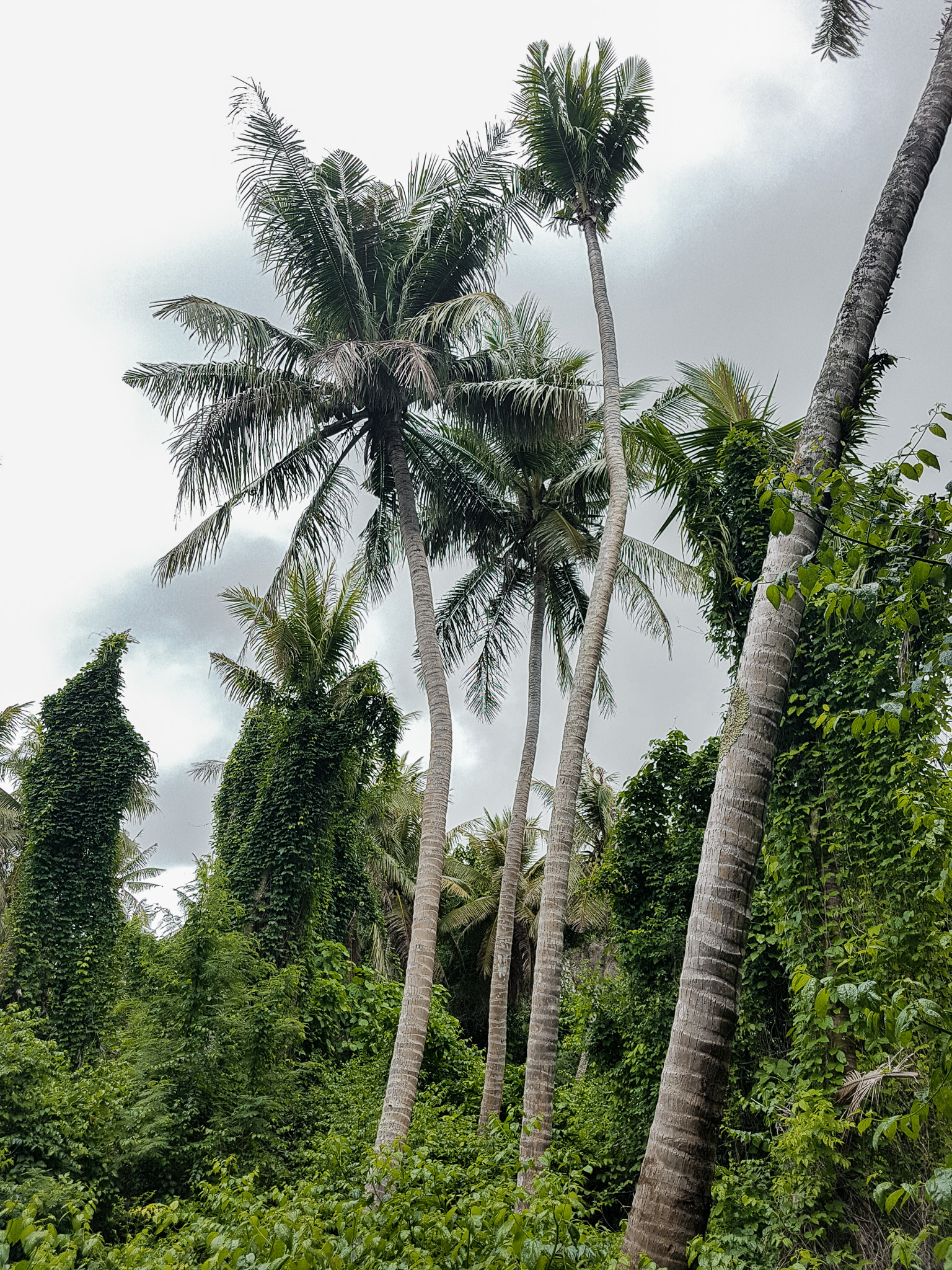 Highlights of Guam - Guam in 30 Stunning Photos | One Flight Away