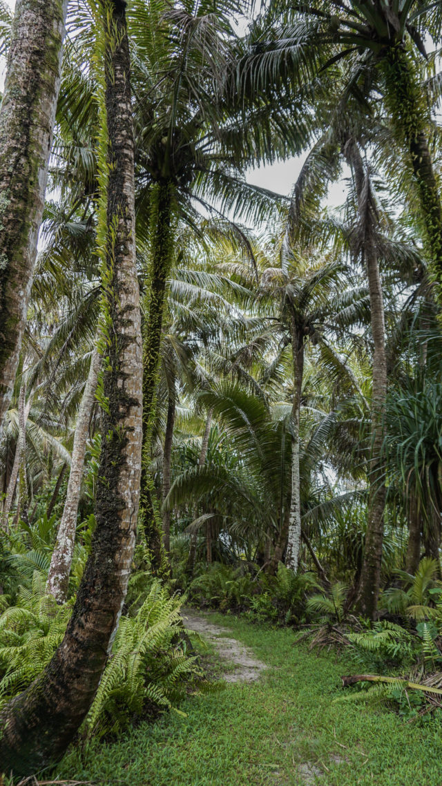 Highlights of Guam - Guam in 30 Stunning Photos | One Flight Away