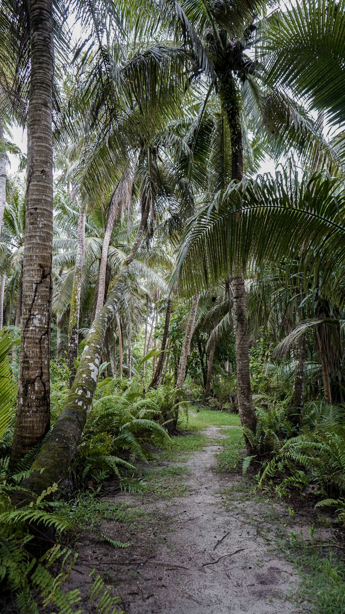 Highlights of Guam - Guam in 30 Stunning Photos | One Flight Away