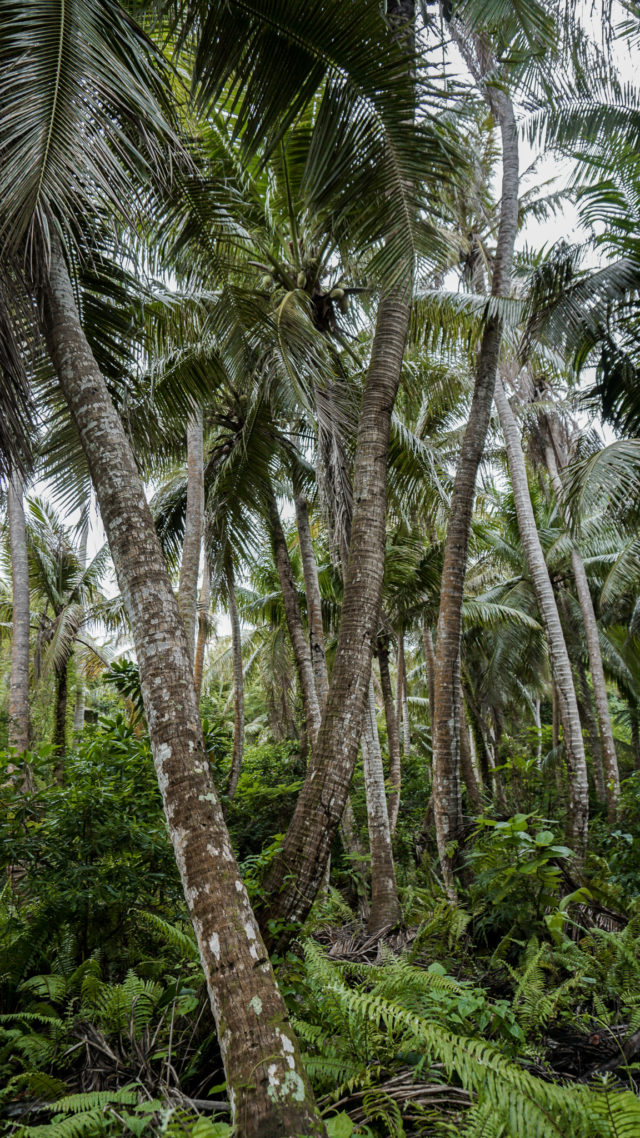 Highlights of Guam - Guam in 30 Stunning Photos | One Flight Away