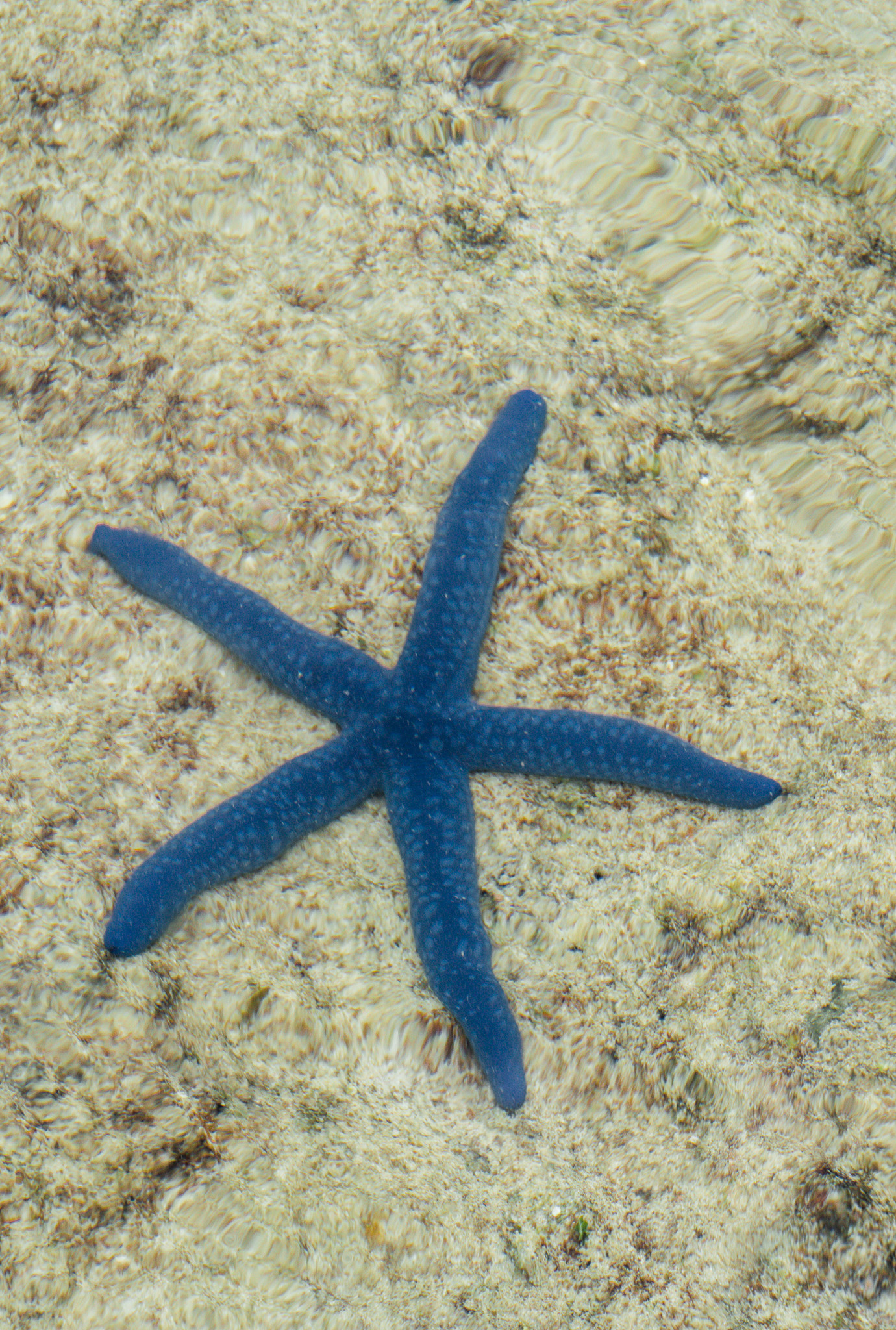 Highlights of Guam - Guam in 30 Stunning Photos | One Flight Away