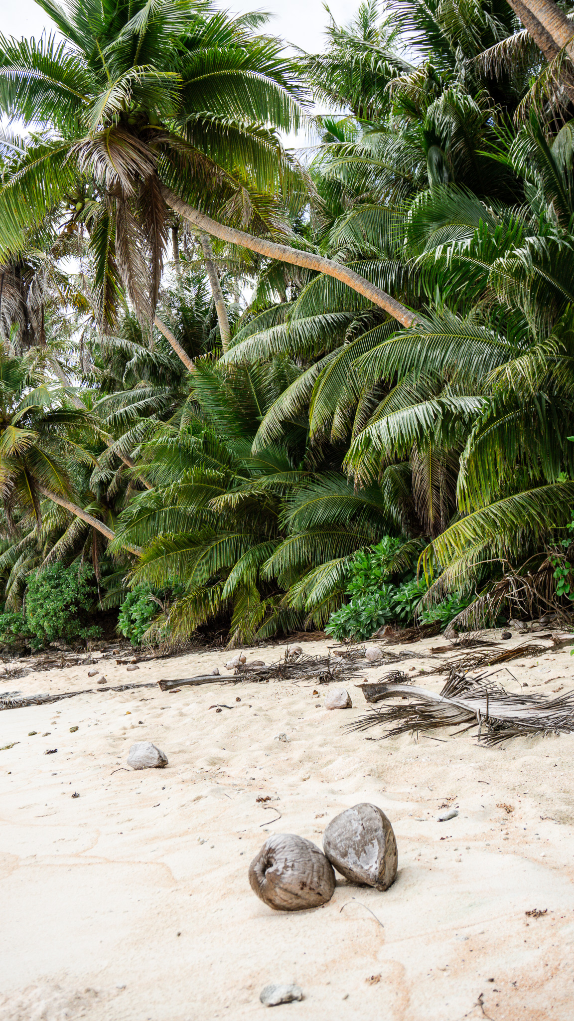 Highlights of Guam - Guam in 30 Stunning Photos | One Flight Away