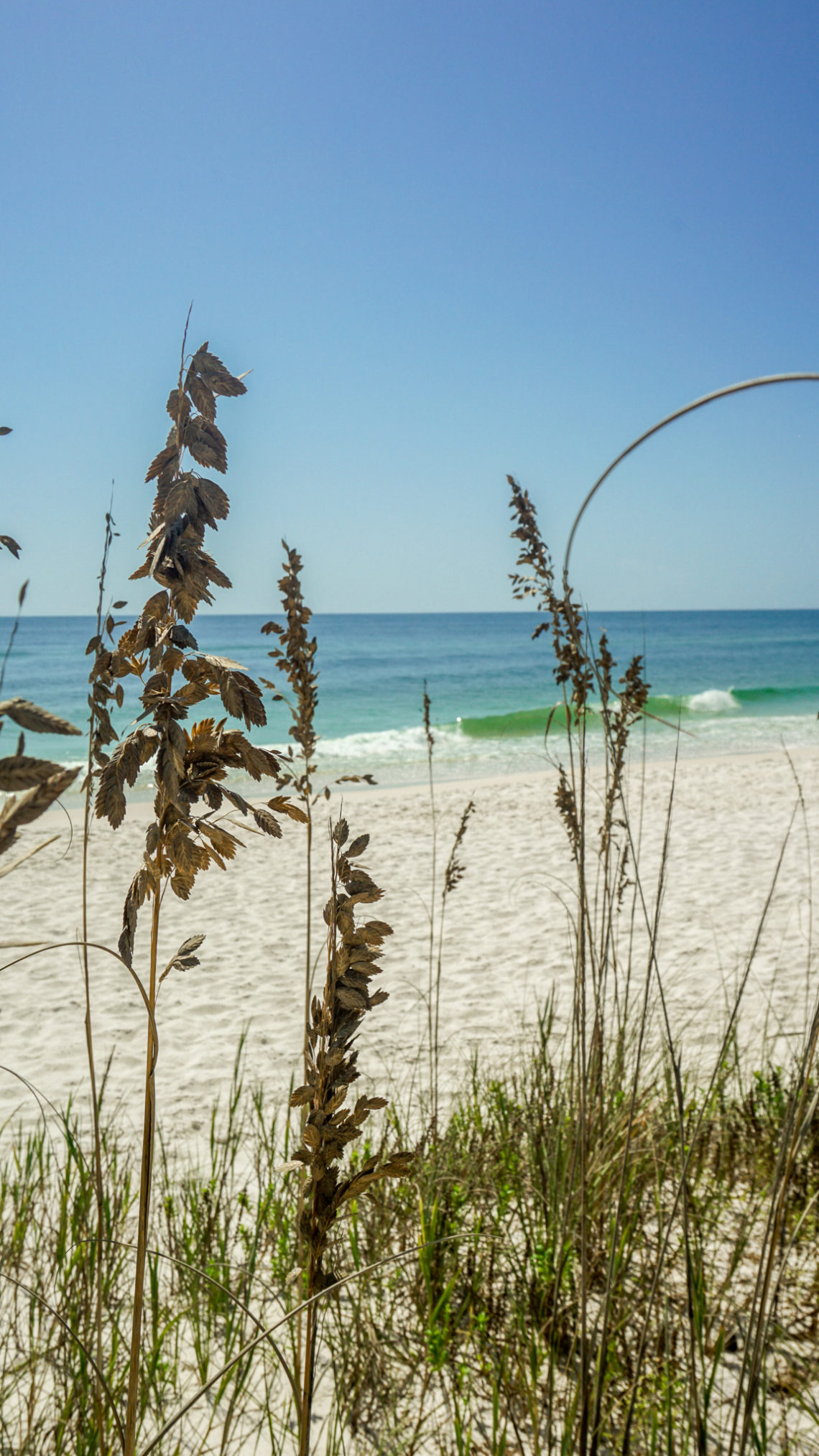 Johnson Beach - Pensacola's Hidden Gem | One Flight Away