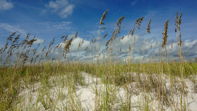 Johnson Beach - Pensacola's Hidden Gem | One Flight Away