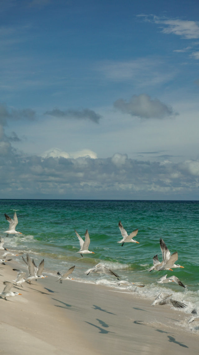 Johnson Beach - Pensacola's Hidden Gem | One Flight Away