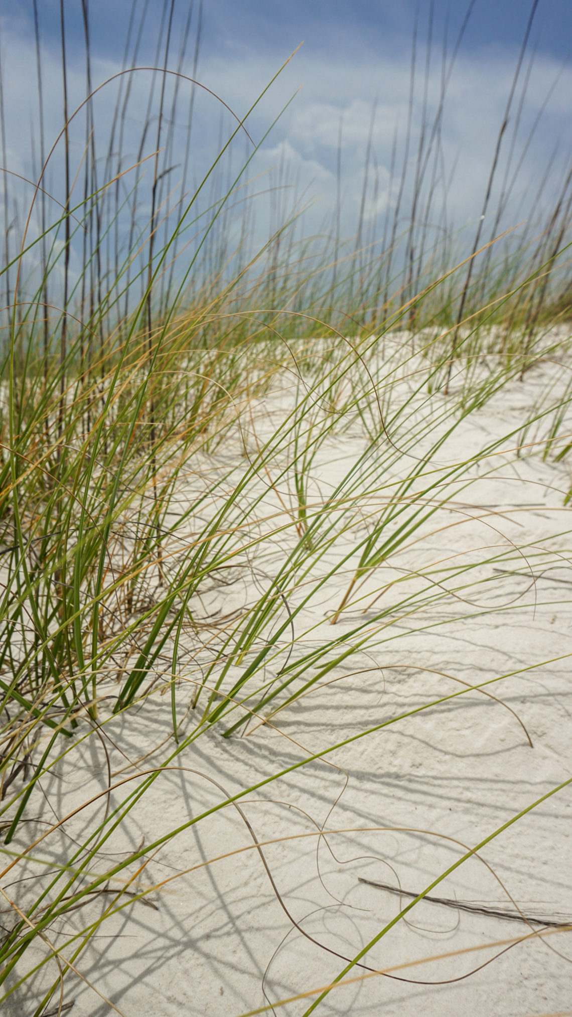 Johnson Beach - Pensacola's Hidden Gem | One Flight Away