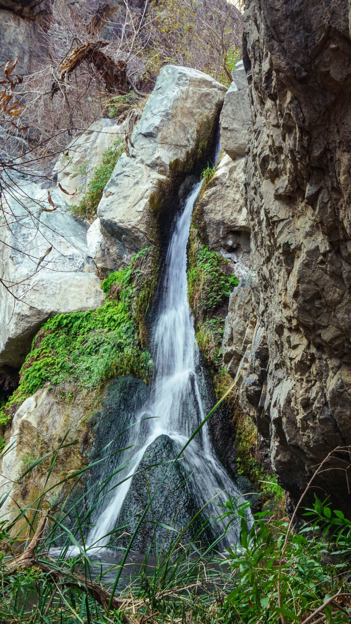 Darwin Falls - How to Hike to Death Valley's Waterfall