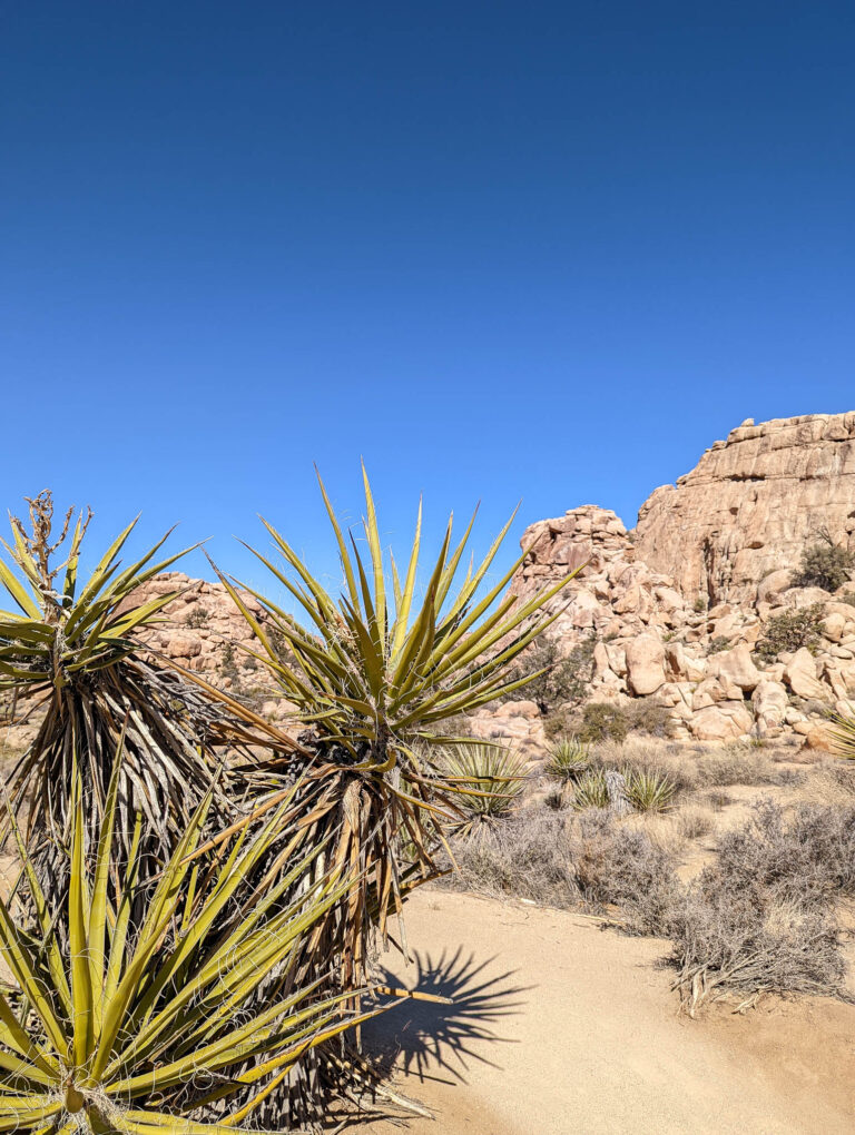 Hidden Valley Nature Trail in Joshua Tree National Park | 52 in 52 ...