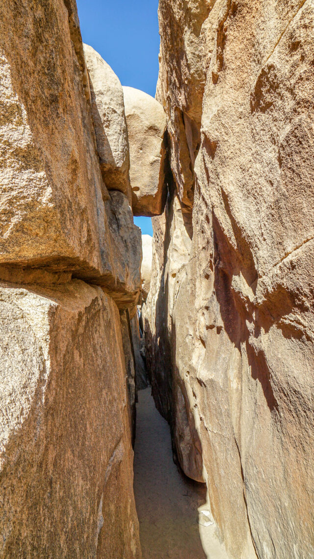 How to Find Hall of Horrors in Joshua Tree National Park