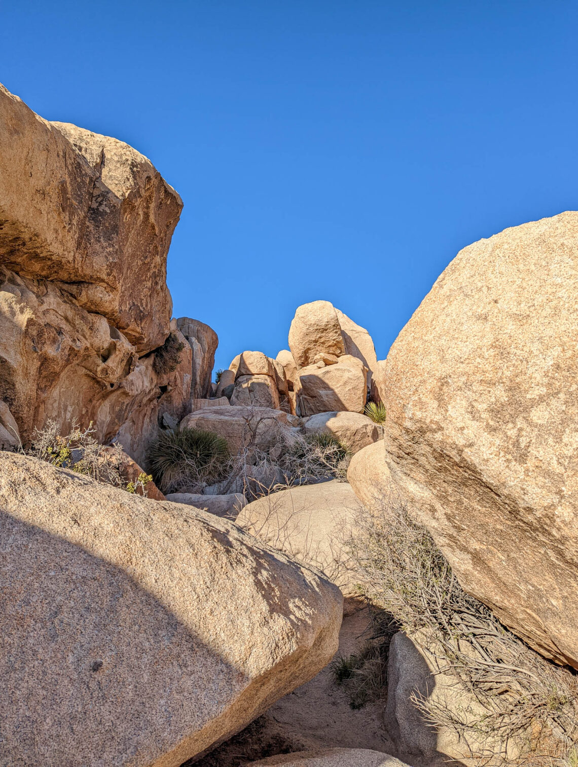 How to Find Hall of Horrors in Joshua Tree National Park