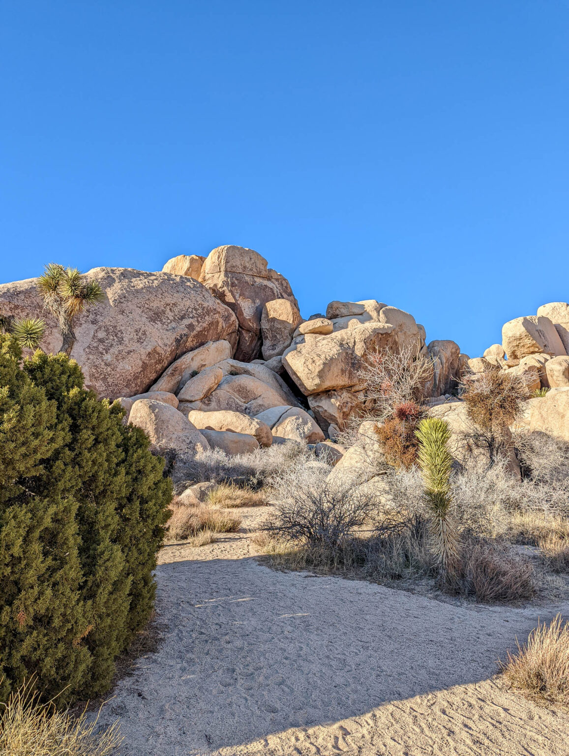 How to Find Hall of Horrors in Joshua Tree National Park